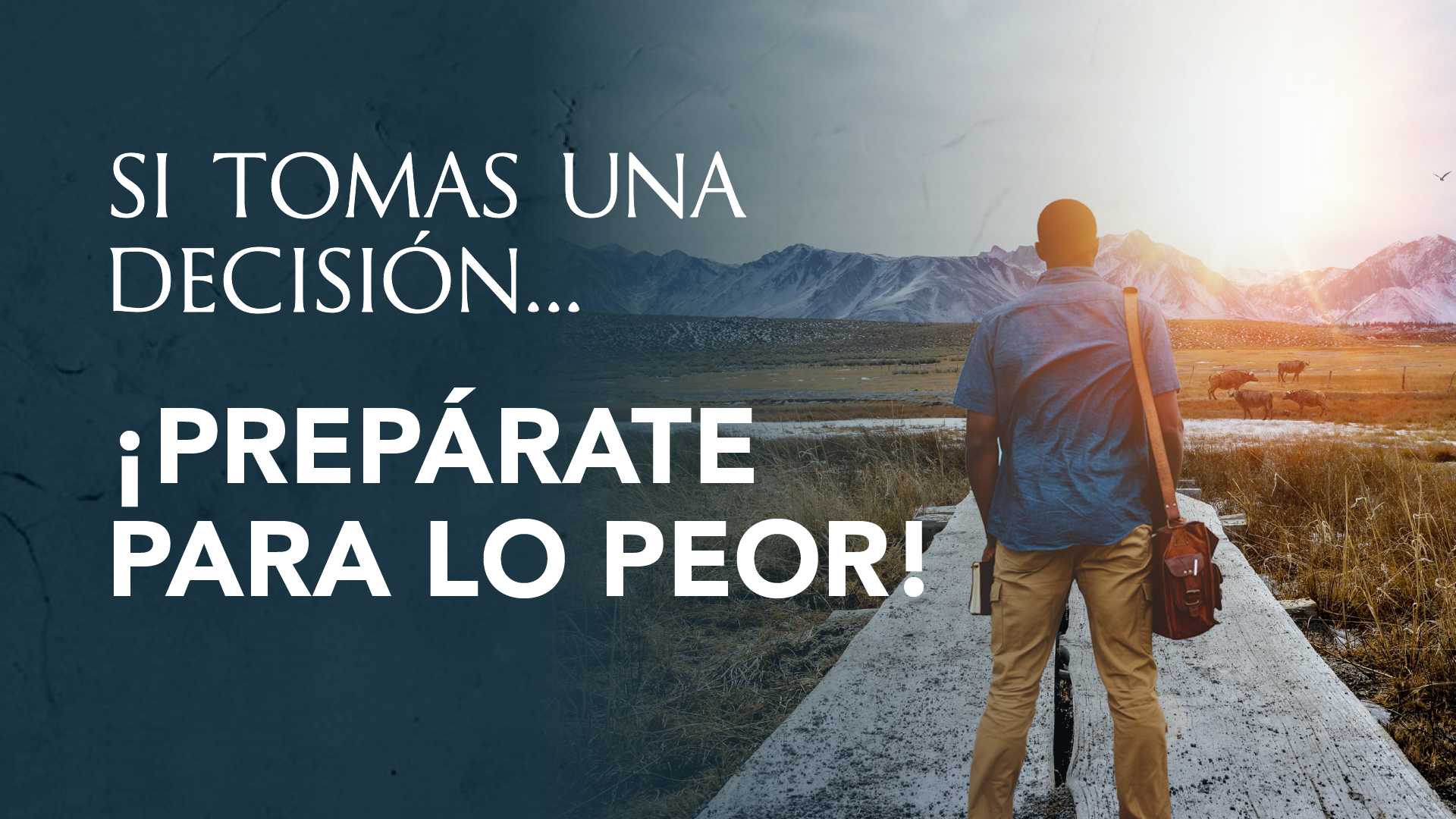 Las emociones negativas - Alberto Peña Chavarino | Descubre tu personalidad